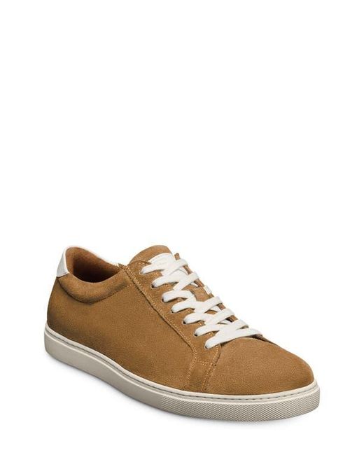 Allen Edmonds Courtside Sneaker