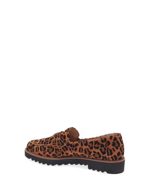 Paul Green Paul Zelda Leopard Print Lug Sole Loafer in Brown | Lyst