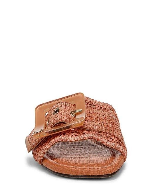 Sam Edelman Bambi Raffia Buckle Slide Sandal in Brown | Lyst