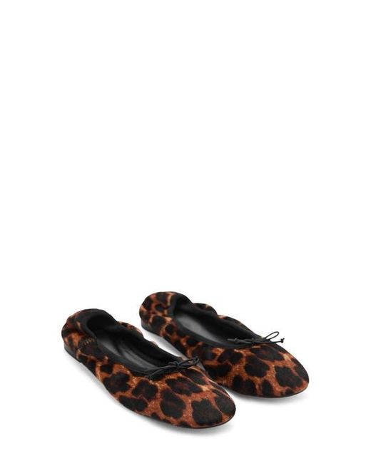 Mango Leopard Print Genuine Calf Hair Ballerina Flat in Black | Lyst