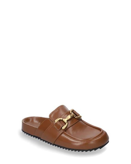 Bibi Lou Zagreb Mule in Brown | Lyst
