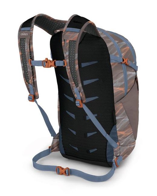 Osprey Daylite Plus Backpack in Brown for Men | Lyst