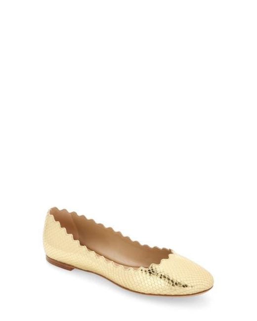 Chloé Lauren Scallop Ballet Flat in Natural | Lyst