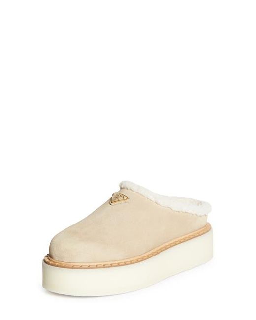 Prada Evolve Genuine Shearling Clog in Natural | Lyst
