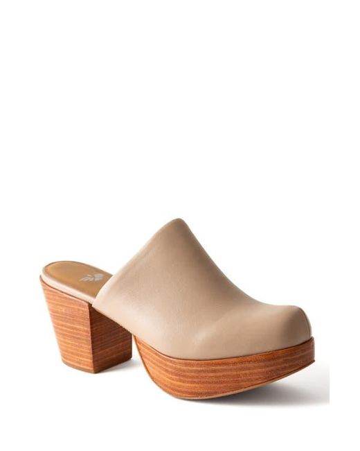 Fortress Ava Clog Mule in Brown | Lyst