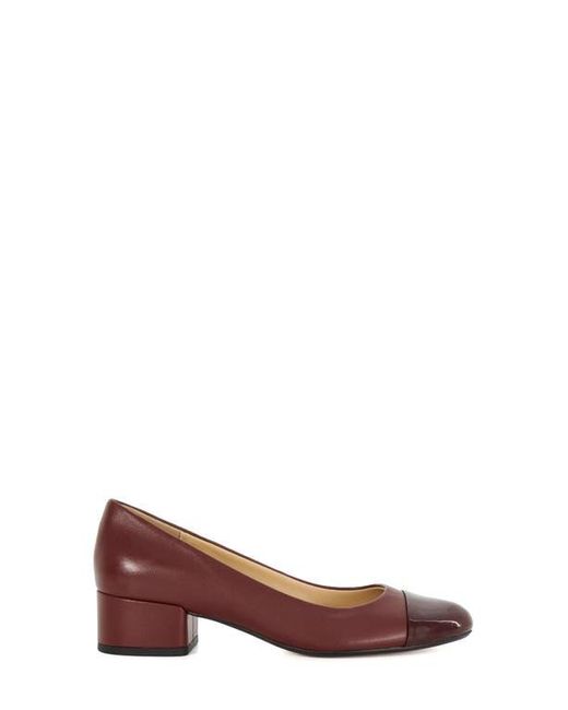 Dune Bracket Cap Toe Pump in Brown | Lyst
