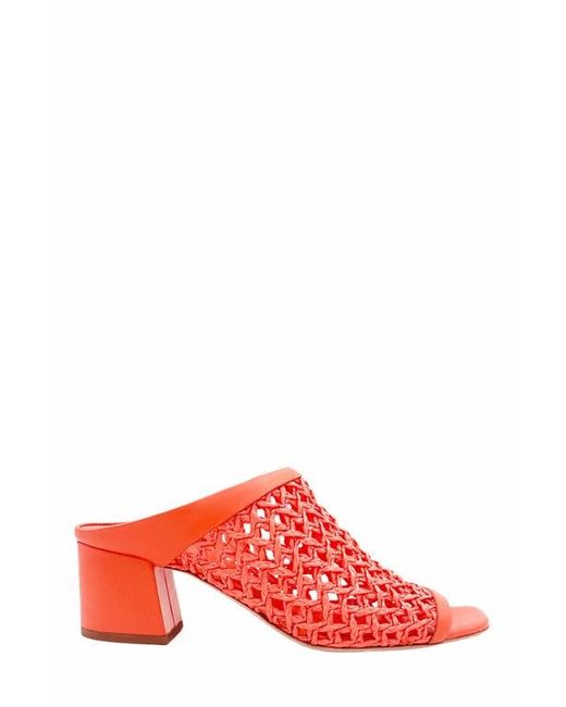 Daniella Shevel Sienna Sandal in Red | Lyst