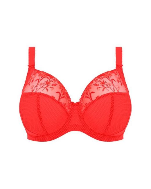 Elomi Charley Full Figure Underwire Plunge Bra in Red | Lyst