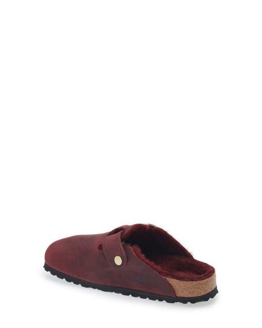 Birkenstock Boston Big Buckle Genuine Shearling Lined Clog in Purple | Lyst