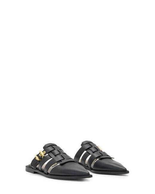 AllSaints Nala Pointed Toe Mule in Black | Lyst
