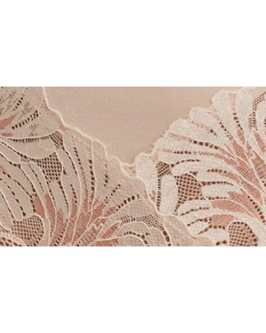 Montelle Intimates Anniversary Thong in Brown | Lyst