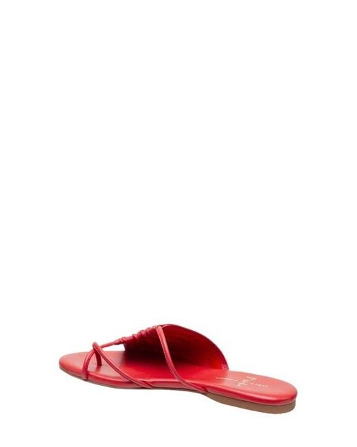 Linea Paolo Lane Toe Loop Sandal in Pink | Lyst