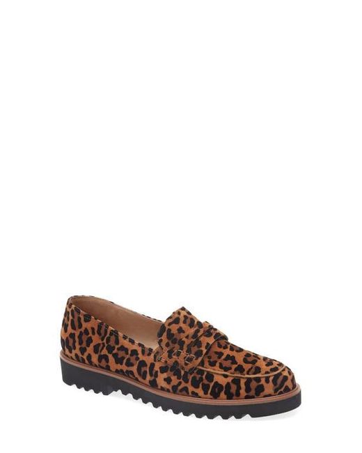 Paul Green Paul Zelda Leopard Print Lug Sole Loafer in Brown | Lyst