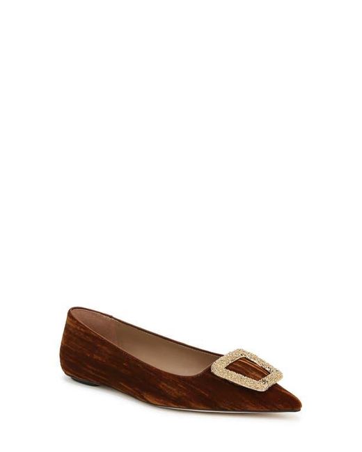 Sam Edelman Nico Pointed Toe Flat in Brown | Lyst
