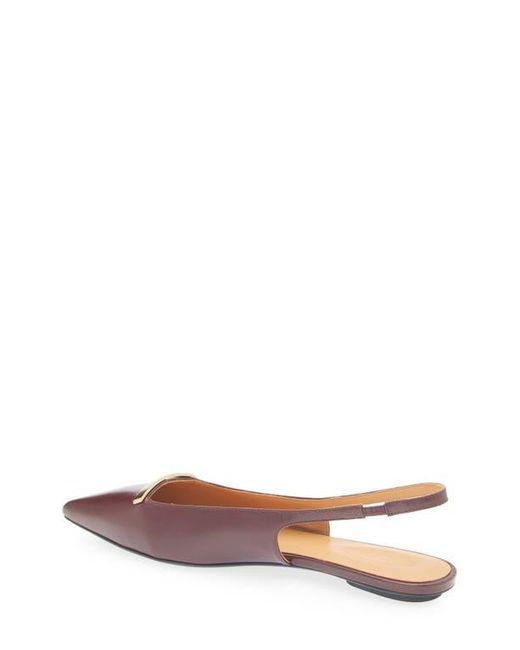 Tod's Barretta Pointed Toe Slingback Flat in Brown | Lyst