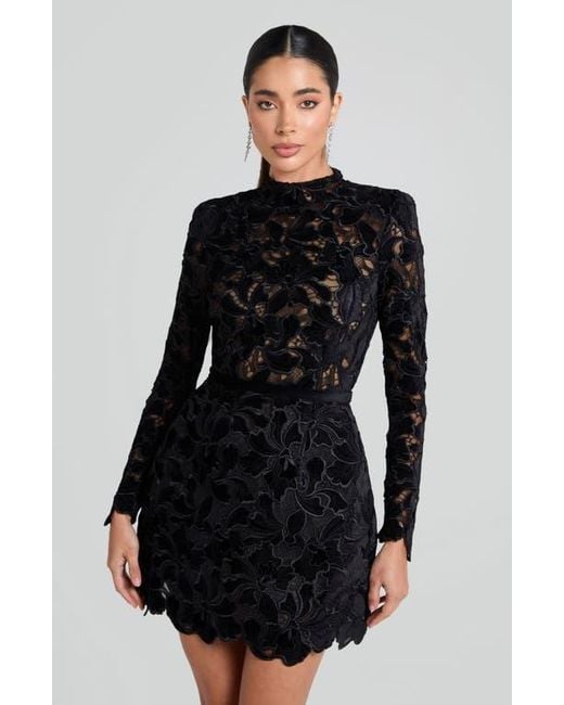 Nadine Merabi Lydia Long Sleeve Lace Overlay Cocktail Minidress in ...