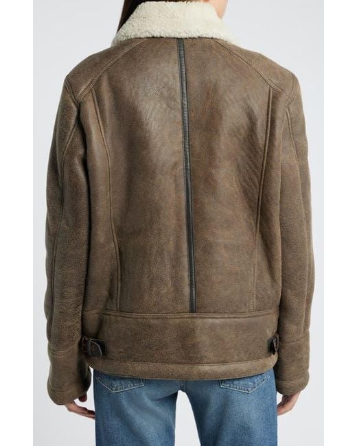 Schott Nyc Genuine Shearling Lined Bomber Jacket in Brown | Lyst