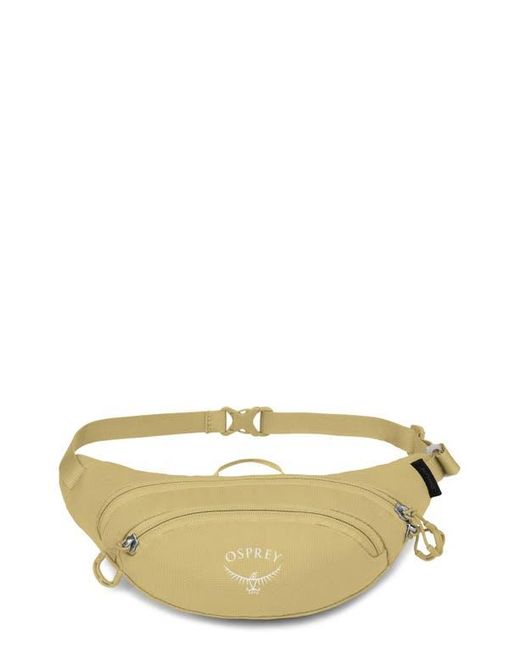 Osprey Daylite Mini Waist Pack in Metallic | Lyst