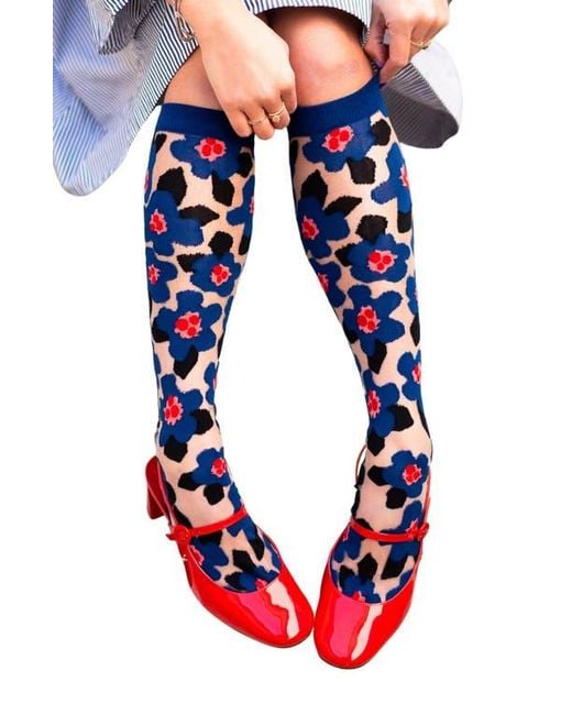 Sock Candy 2-Pack Floral Sheer Knee High Socks in Blue | Lyst
