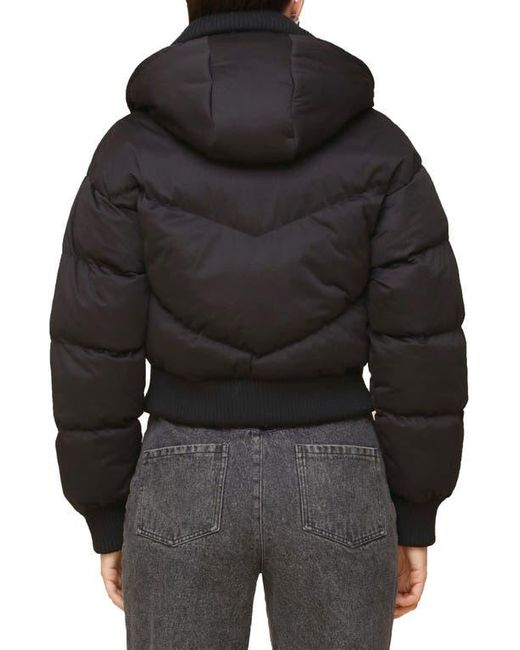 Avec Les Filles Thermalpuff Crop Puffer Jacket With Rib Bib in Black | Lyst