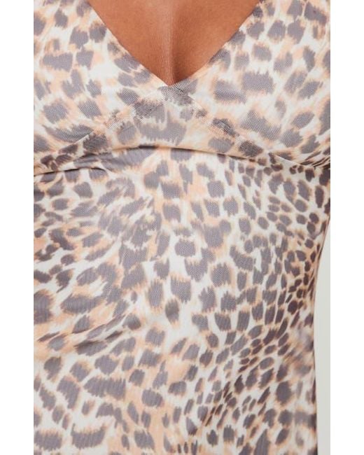 Princess Polly Zuba Leopard Print Mesh Minidress in Brown | Lyst