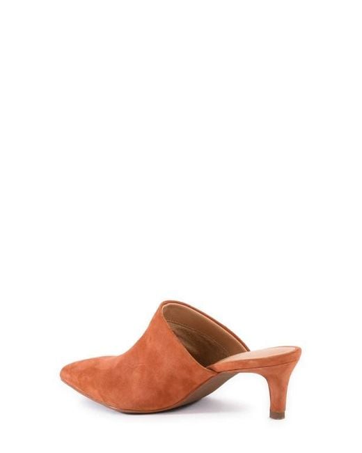 Seychelles Obsession Pointed Toe Kitten Heel Mule in Brown | Lyst