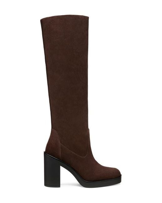 Stuart Weitzman Bethenny Block Heel Tall Boot in Brown | Lyst