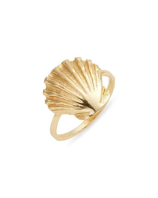 Kiara by Ki-Ele Golden Sunrise Shell Ring in Metallic | Lyst