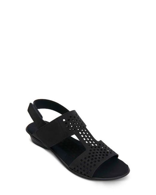 Sesto Meucci Elicia Slingback Sandal in Black | Lyst