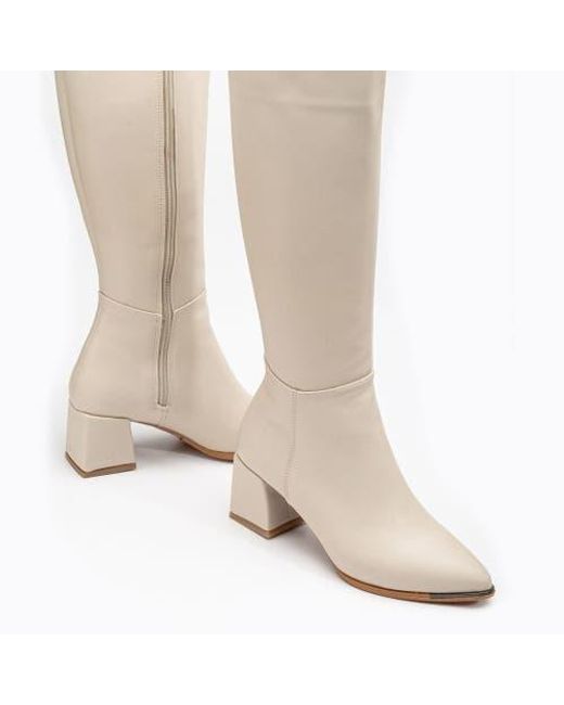 Forever & Always Shoes Lizette Knee High Boots in Brown | Lyst