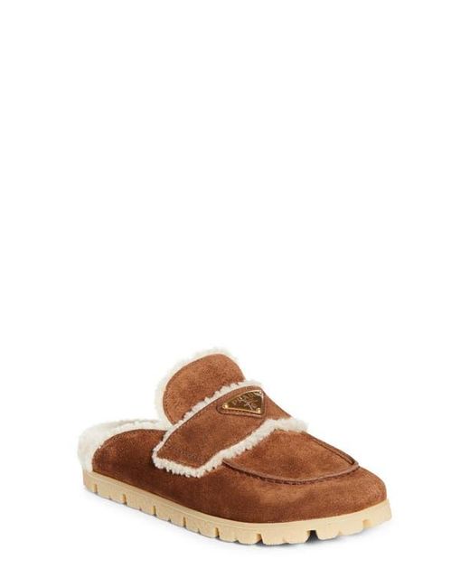 Prada Genuine Shearling Mule in Brown | Lyst