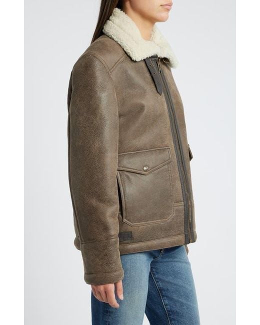 Schott Nyc Genuine Shearling Lined Bomber Jacket in Brown | Lyst