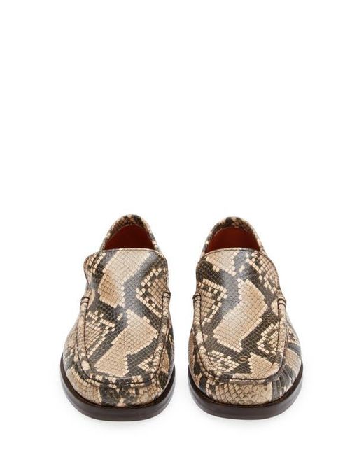 Acne Studios Snakeskin Print Loafer in Brown for Men | Lyst