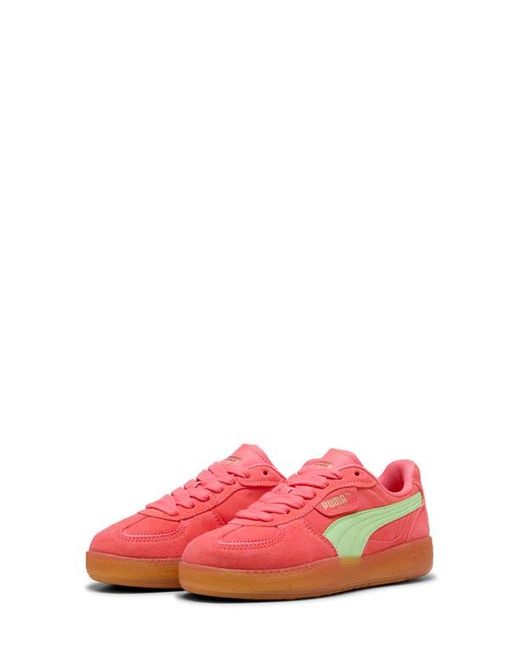 PUMA Palermo Moda Xtra Gum Rubber Sneaker in Red | Lyst