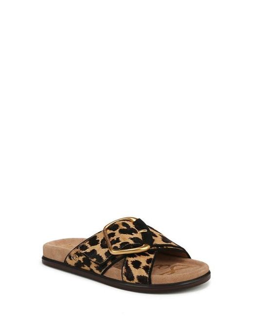 Sam Edelman Darla Slide Sandal in Brown | Lyst