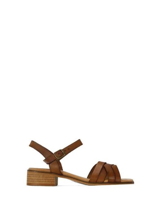 Penelope Chilvers Shepherdess Ankle Strap Sandal in Brown | Lyst