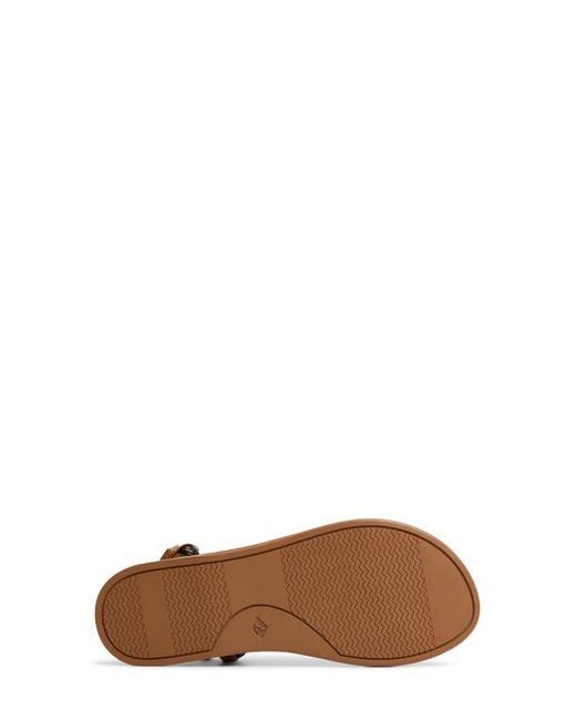 Sperry Top-Sider Isla T-Bar Slingback Sandal in Brown | Lyst