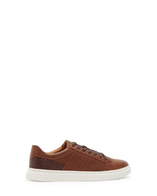 Steve Madden Tucker Sneaker in Brown for Men | Lyst