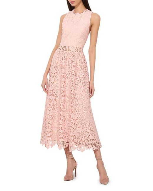 Alice + Olivia Babette Sleeveless Lace Midi Dress in Pink | Lyst