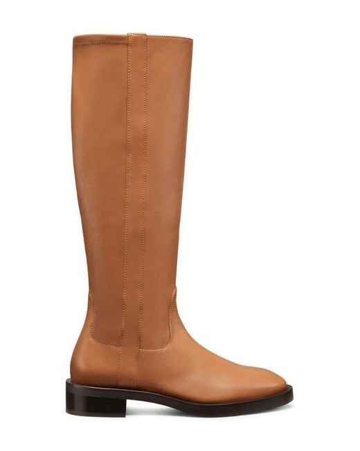 Stuart Weitzman Sadie Knee High Riding Boot in Brown | Lyst