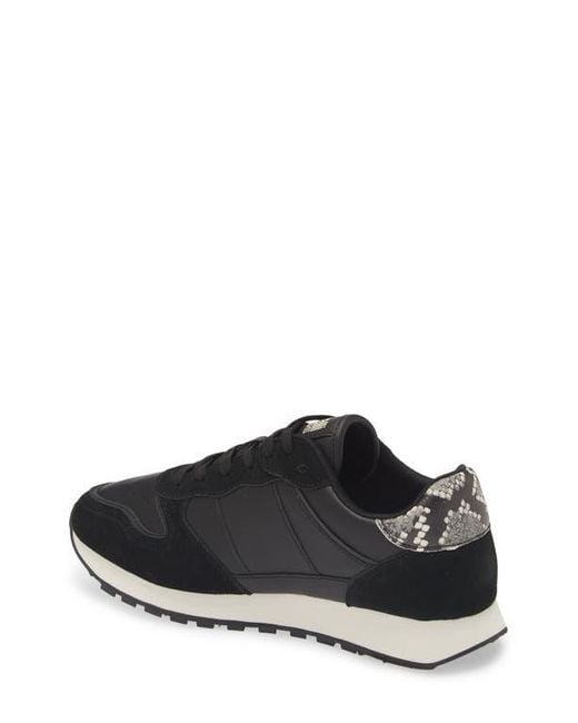 Roberto Cavalli Cavalli Class Snake Embossed Runner Shoe in Black for ...