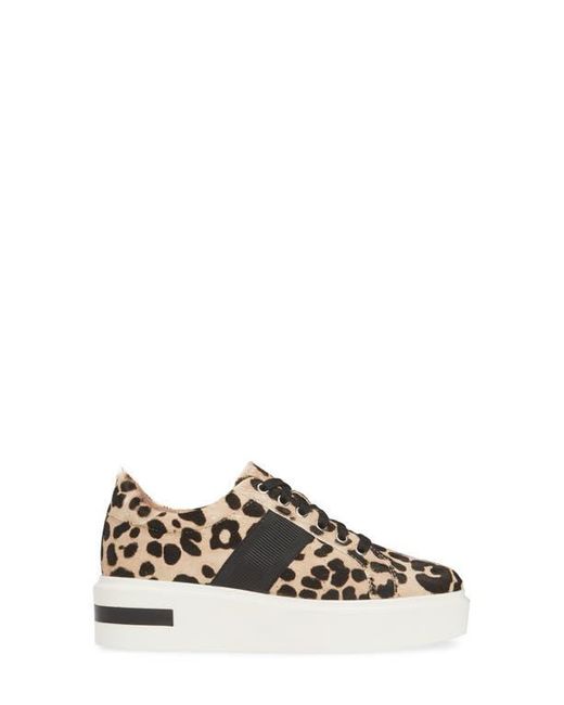 Linea Paolo Kim Sneaker | Lyst