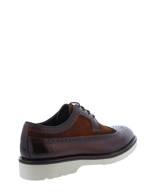 Penny Lane Compton Wingtip Derby in Brown for Men | Lyst