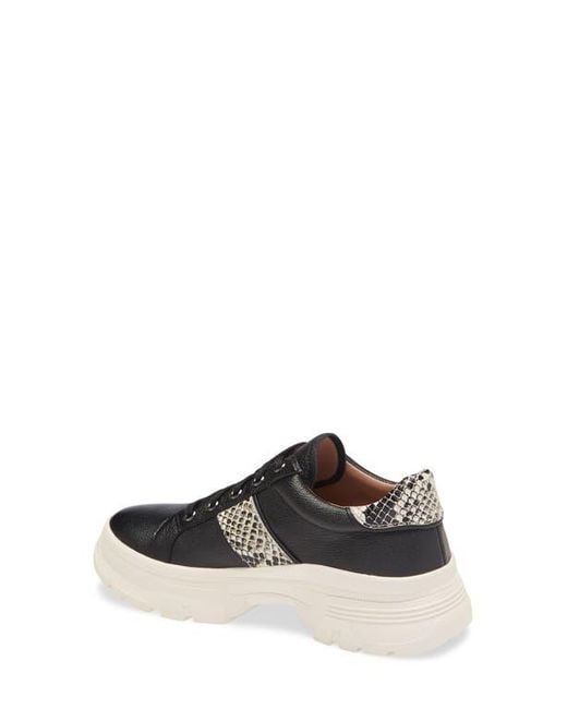 Linea Paolo Roffe Platform Sneaker in Black | Lyst