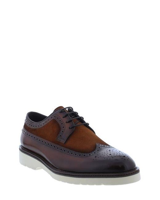 Penny Lane Compton Wingtip Derby in Brown for Men | Lyst