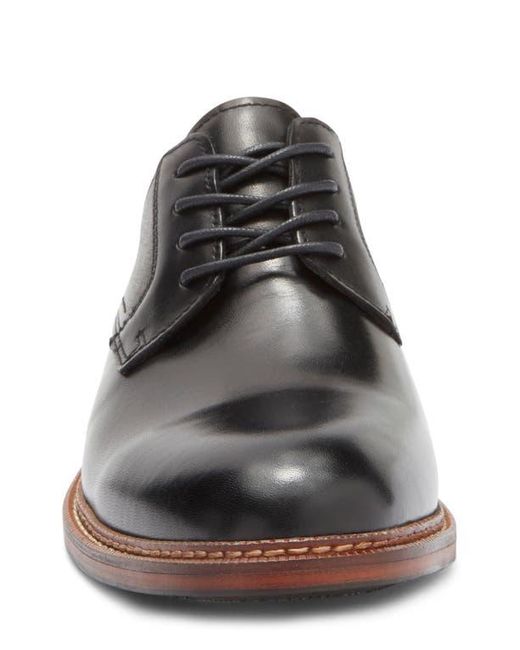 Steve Madden Espen Plain Toe Derby in Brown for Men | Lyst