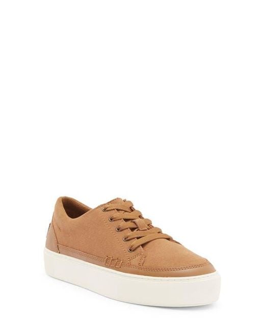 UGG Zilo Platform Sneaker in Brown | Lyst