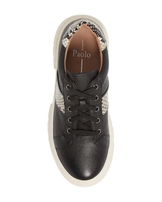 Linea Paolo Roffe Platform Sneaker in Black | Lyst