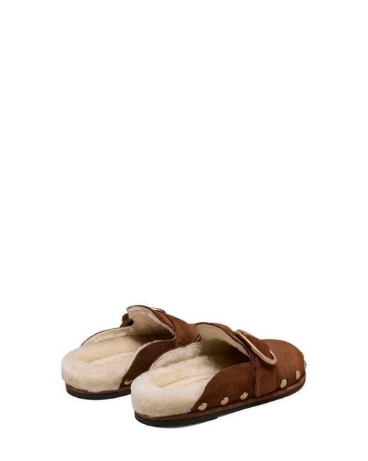 Stuart Weitzman Studded Faux Shearling Lined Mule in Brown | Lyst