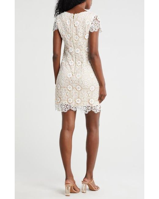 Eliza J Scalloped Lace Body-Con Dress in Natural | Lyst